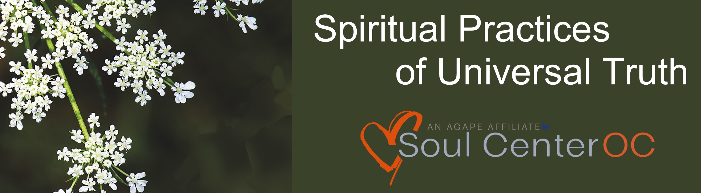 Spiritual Practices of Universal Truth - Soul Center